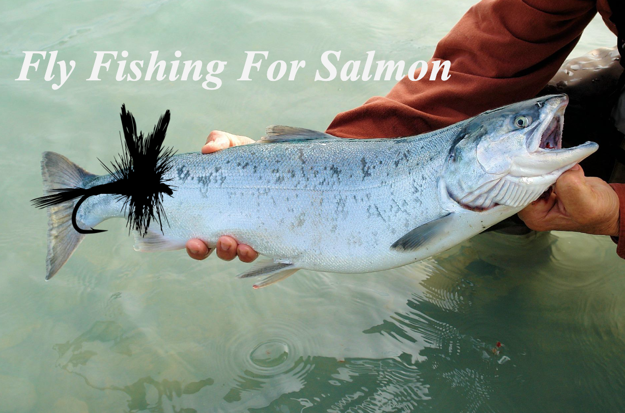 Salmon Fly Fishing