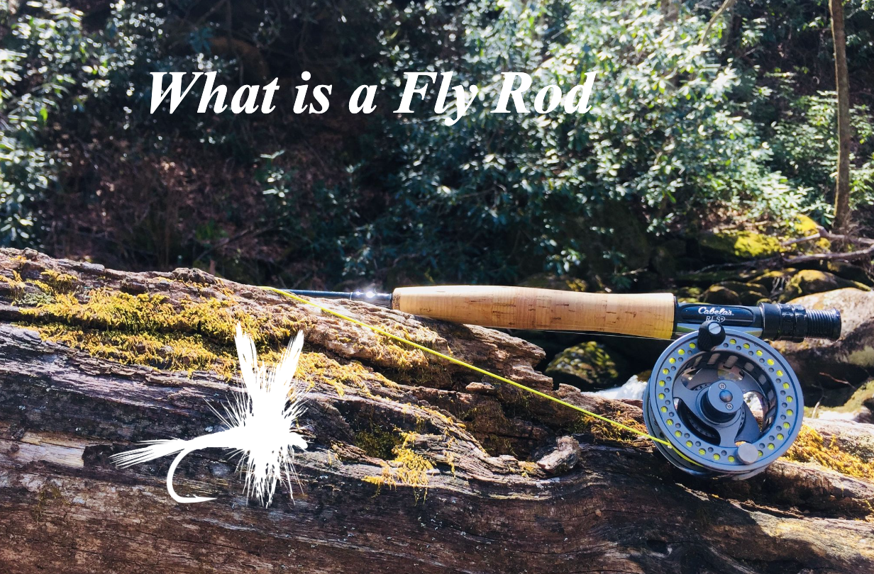 Fly Rod